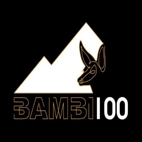 ⁦BAMBI100⁩ - イベント - IBUKI